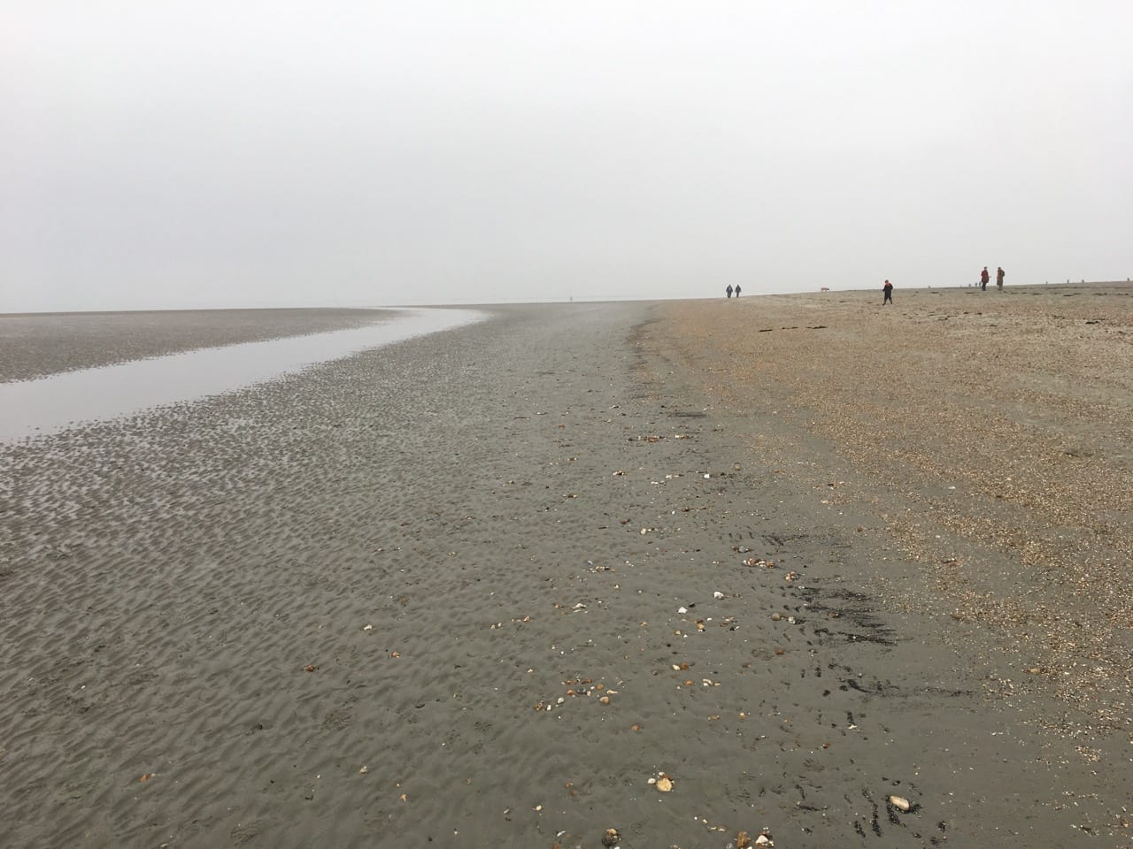 Water Signs - The Natural Navigator