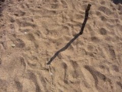 How to navigate using the Sun - The Natural Navigator