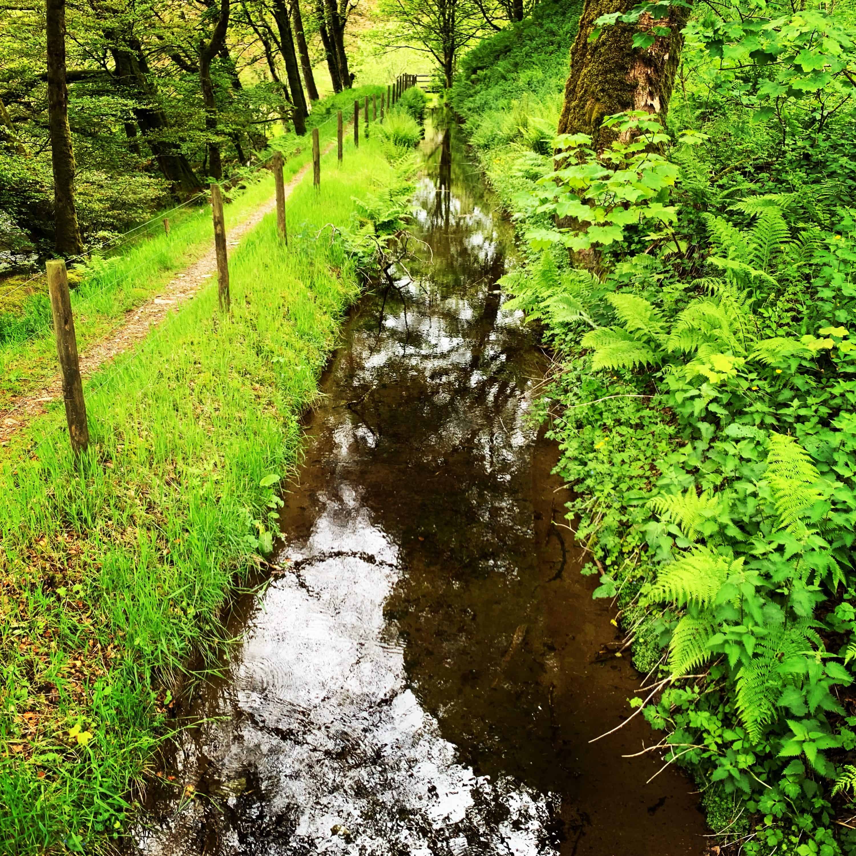 No River Runs Straight - The Natural Navigator