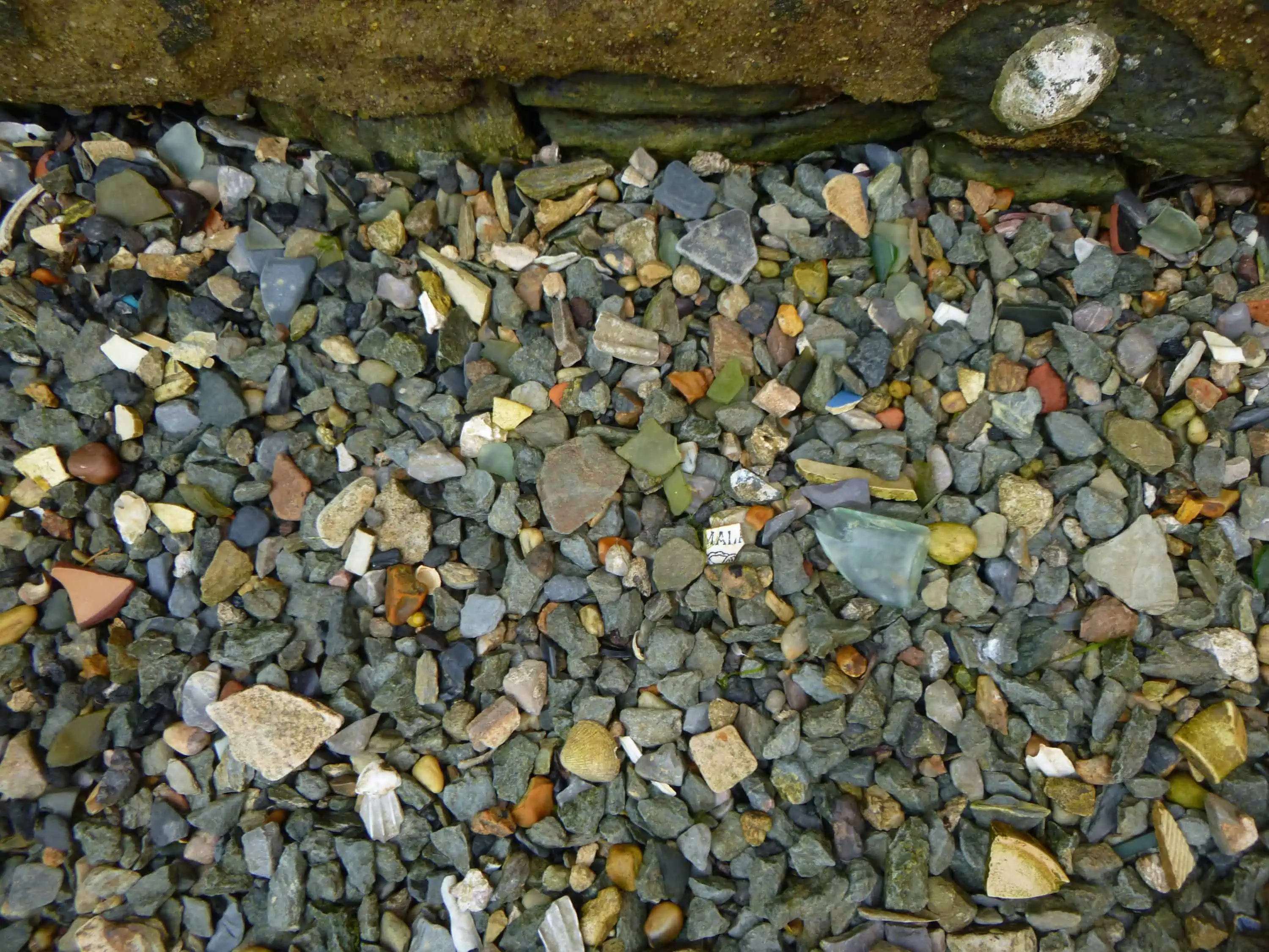 The Sorting by Sea Currents - The Natural Navigator