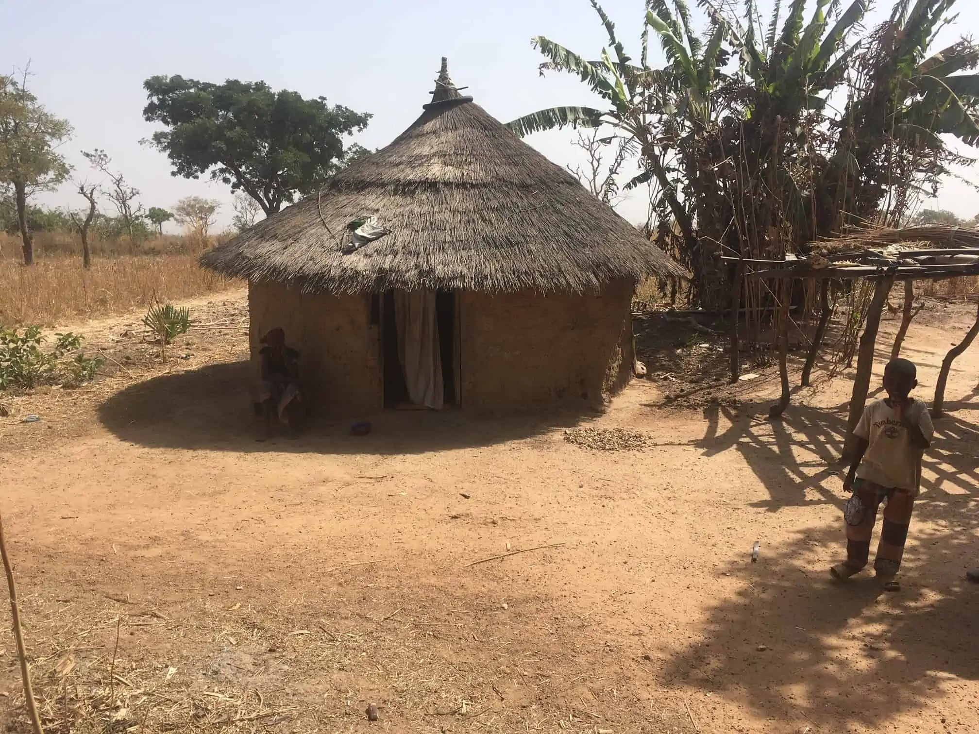 Nigerian Signs - The Natural Navigator