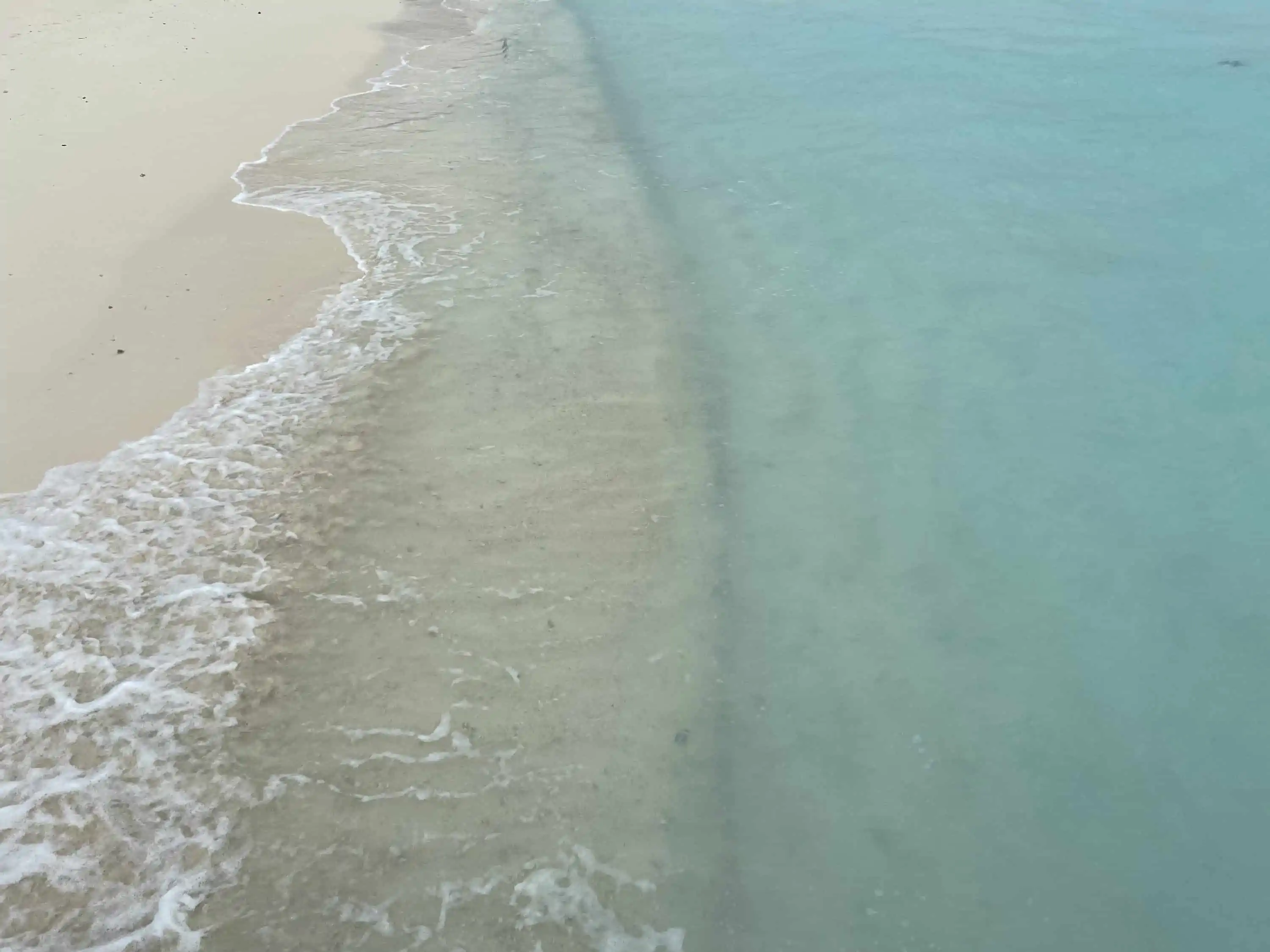 The Beach 'Step' - The Natural Navigator