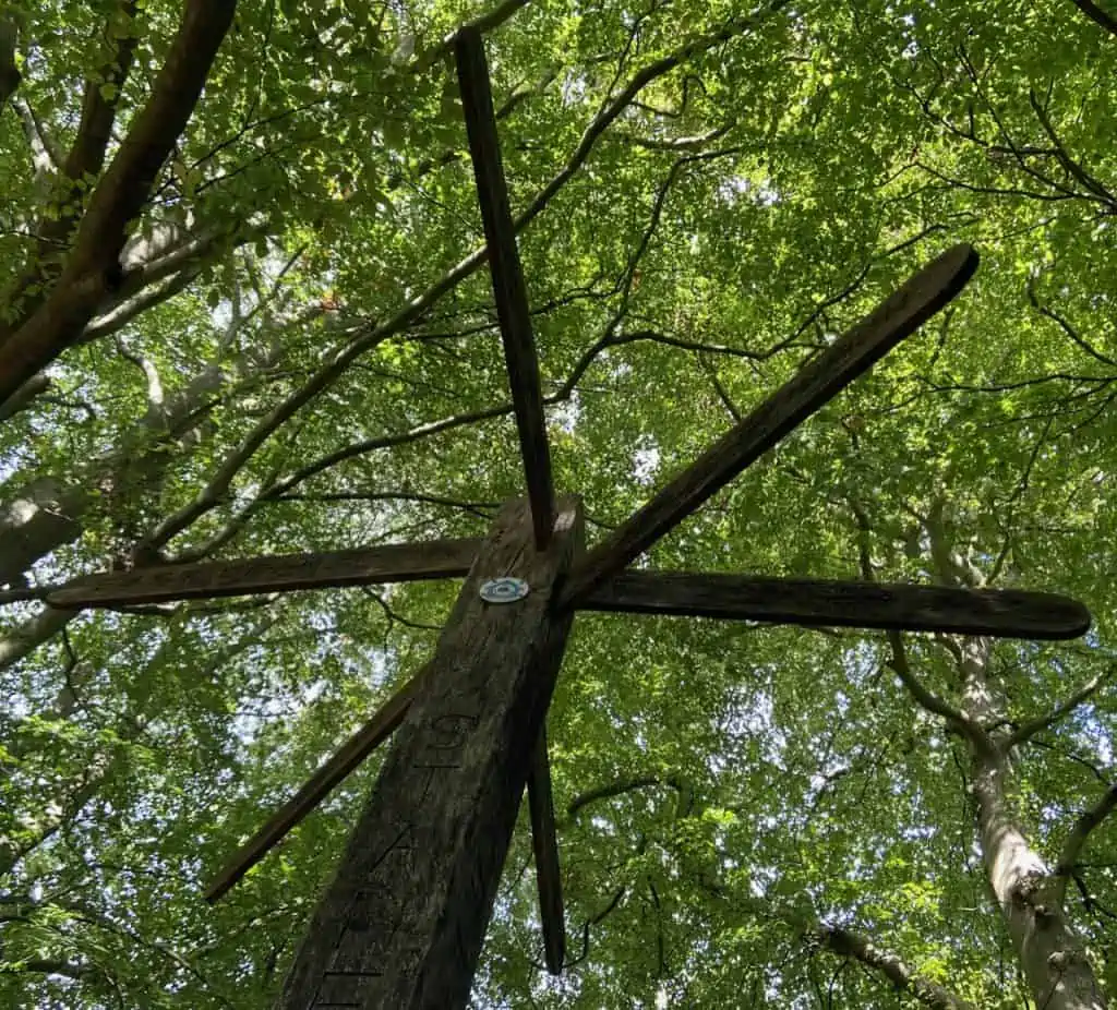 Natural Navigation Training - The Natural Navigator