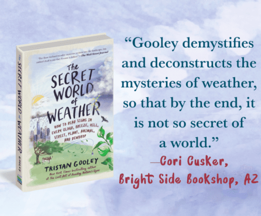 What is a Gap Wind? - The Natural Navigator