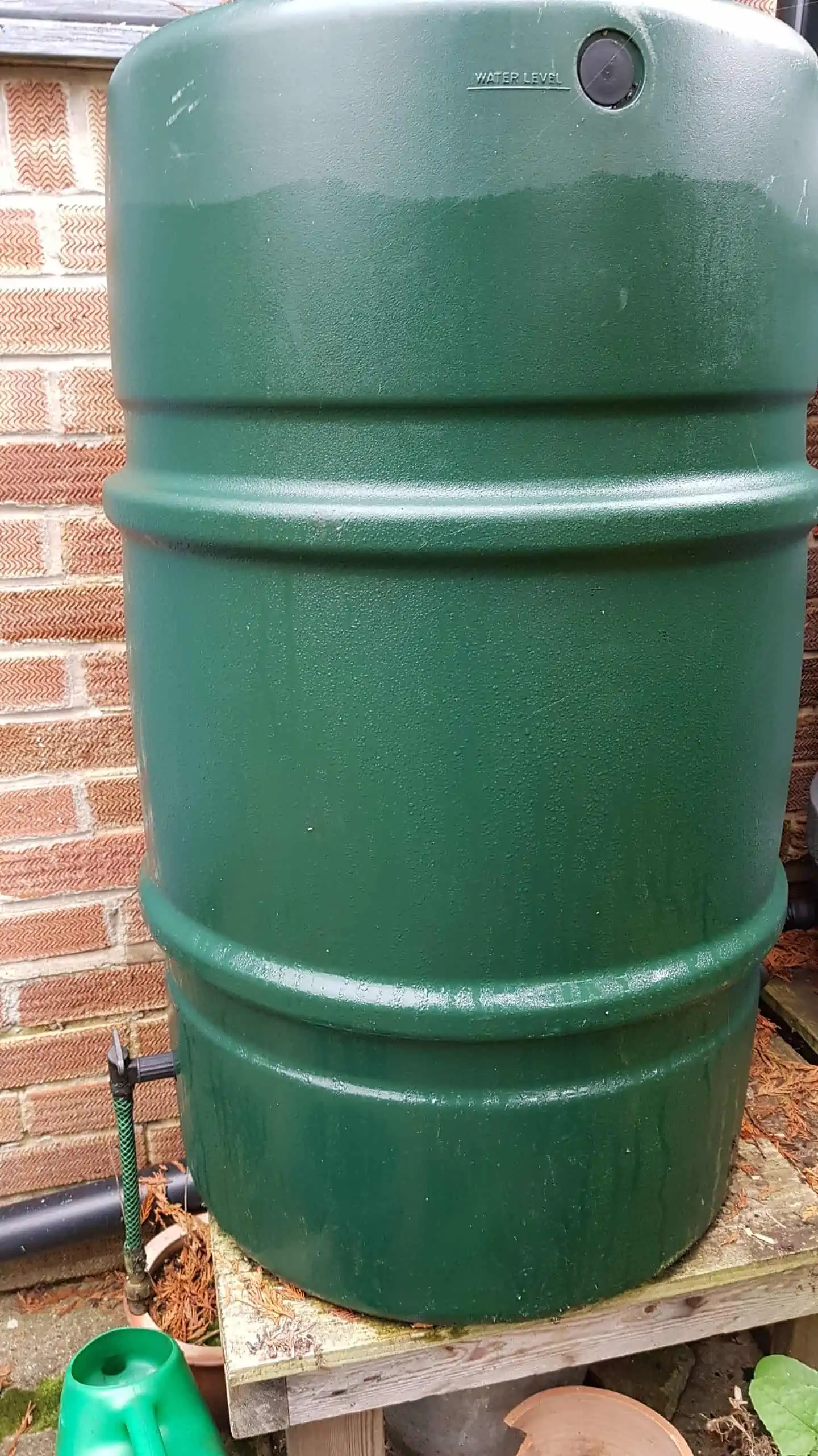 A Big Green Dew Machine - The Natural Navigator