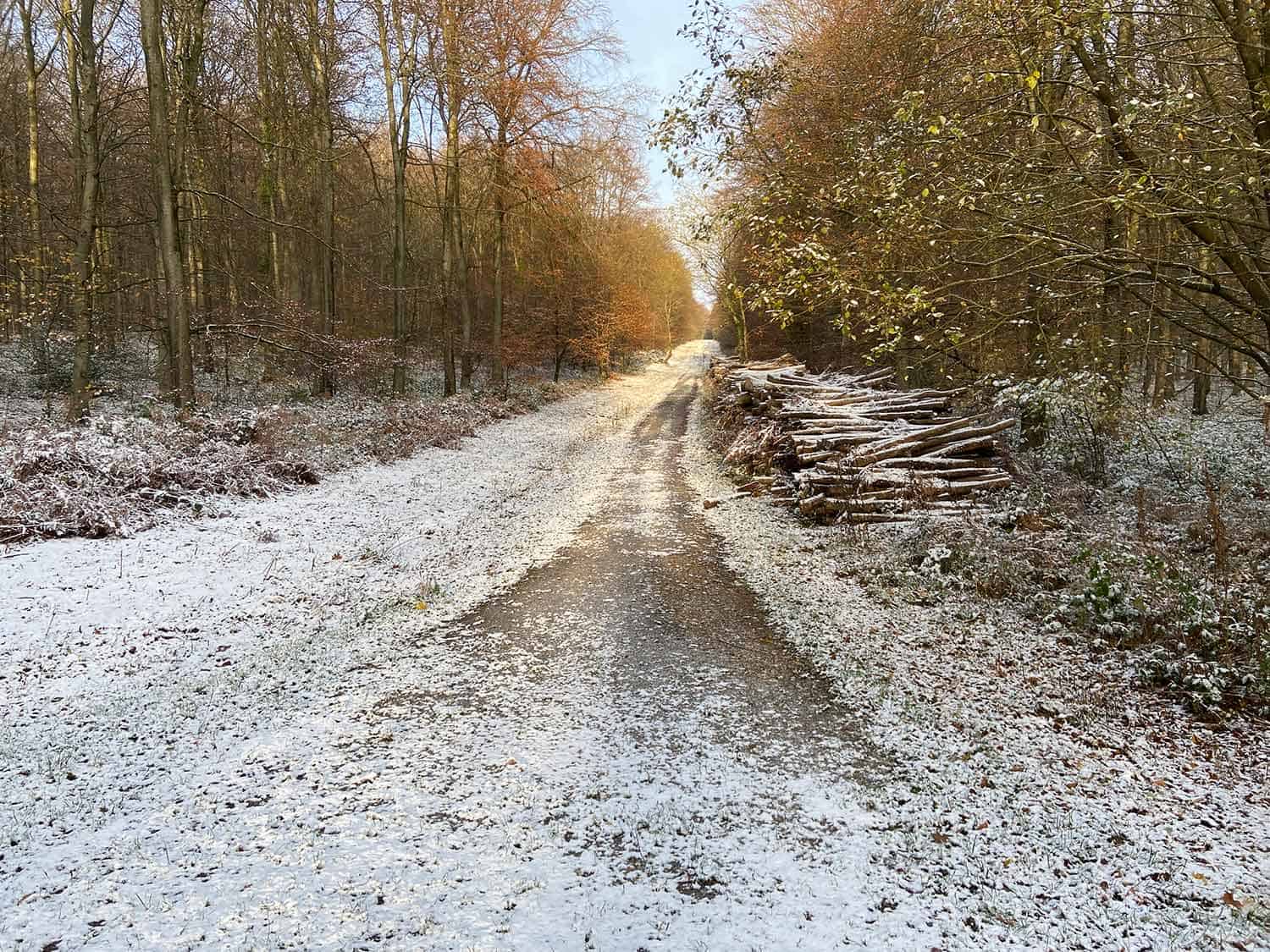 The Natural Navigator: Find your way using nature