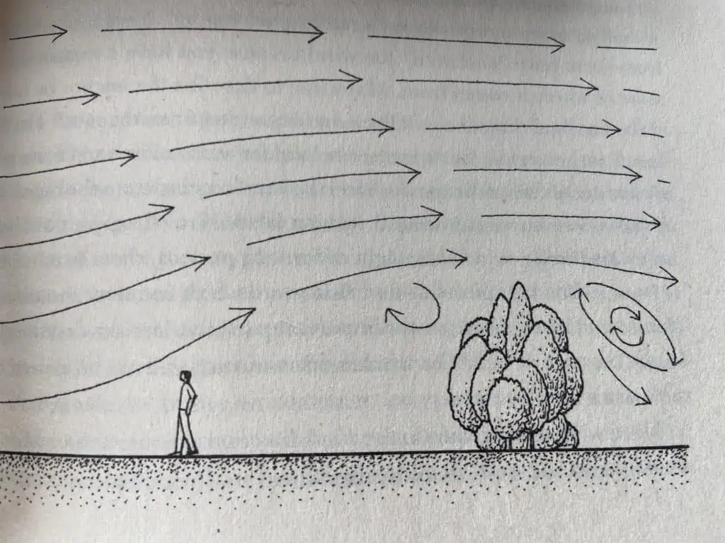 What is a Wind Shadow? - The Natural Navigator