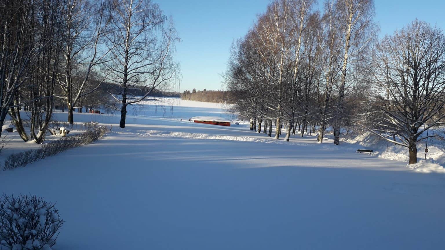 How to navigate using the Sun - The Natural Navigator