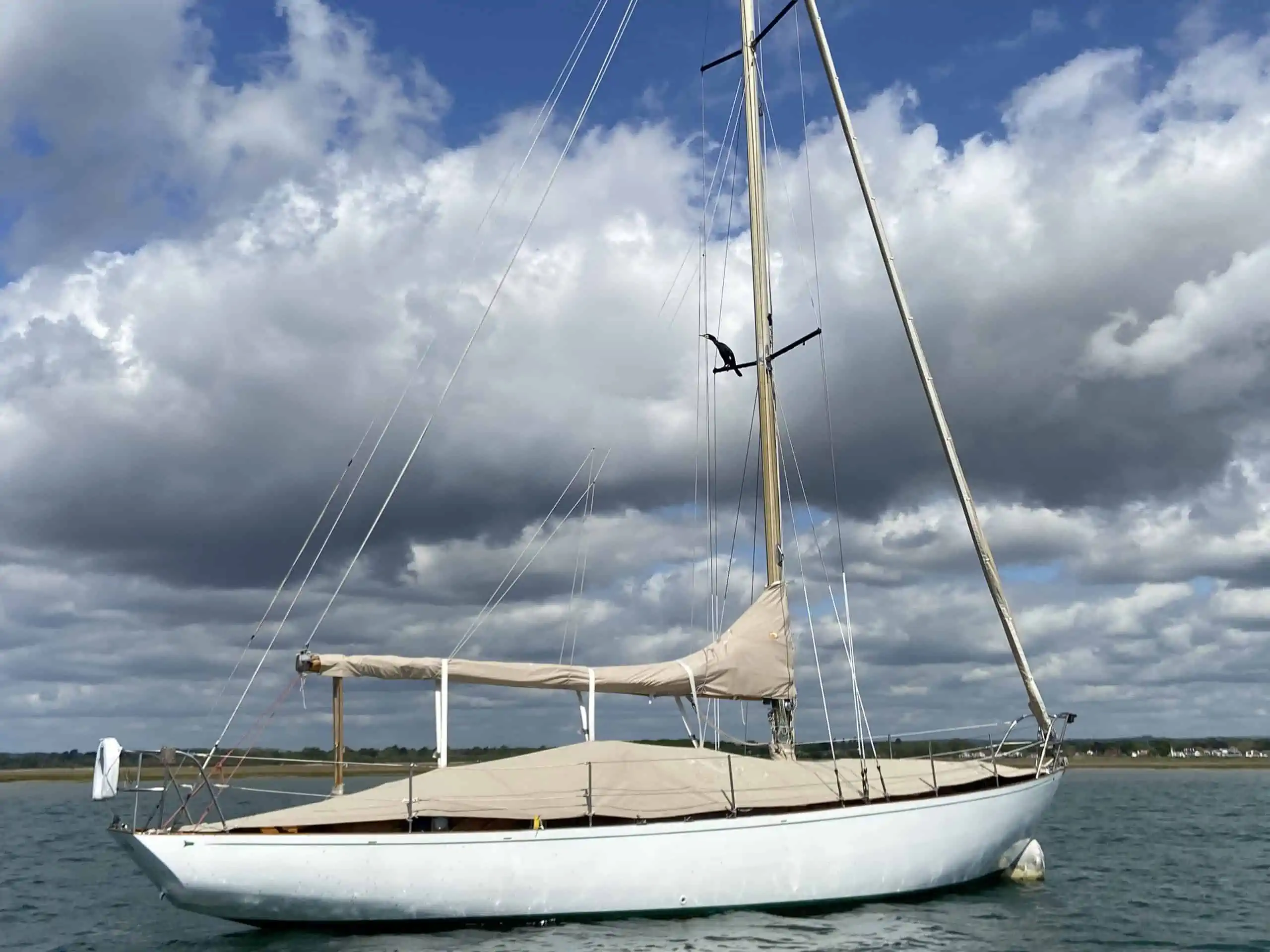 Wind Against Tide - A Sign of Choppy Water - The Natural Navigator