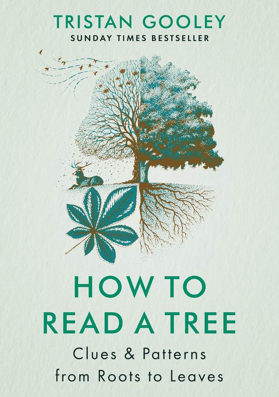 How to Read a Tree - The Natural Navigator