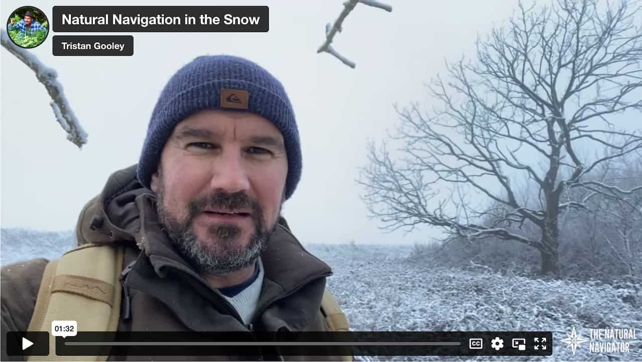 Natural Navigation using Snow on Trees - The Natural Navigator