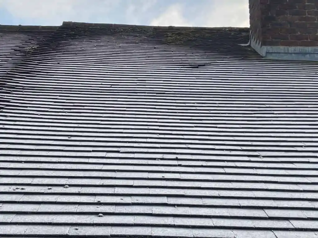 What is a Frost Compass? - The Natural Navigator