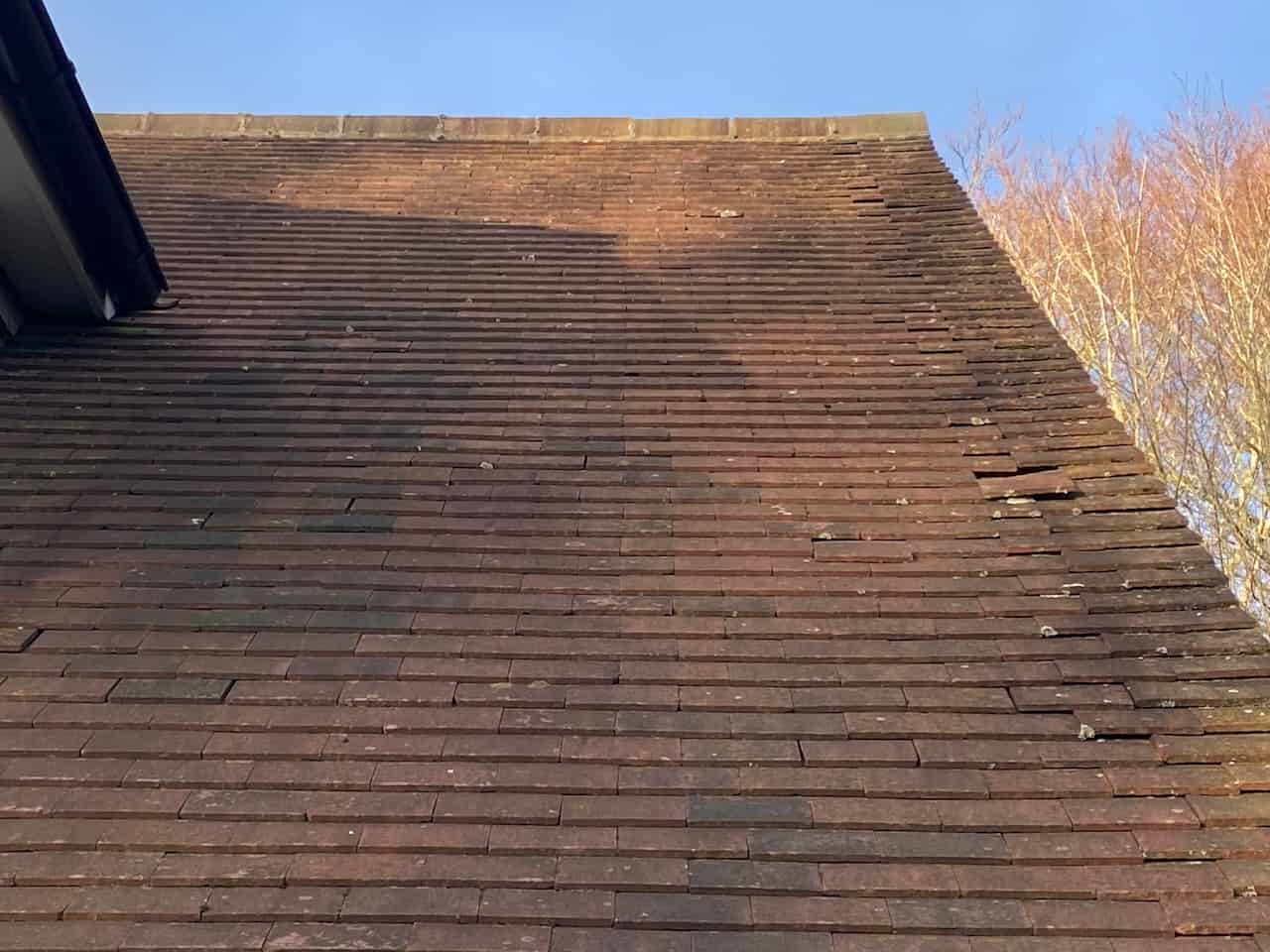 What is a Frost Compass? - The Natural Navigator