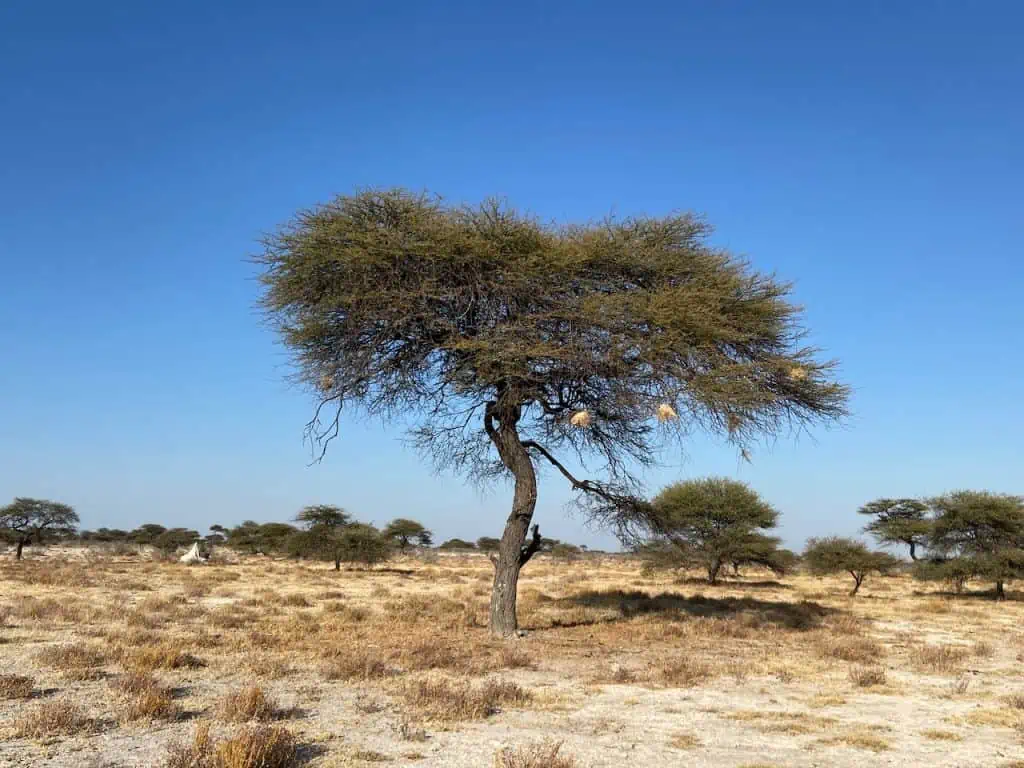 Clues and Signs in Nature: Northern and Southern Hemisphere - The ...