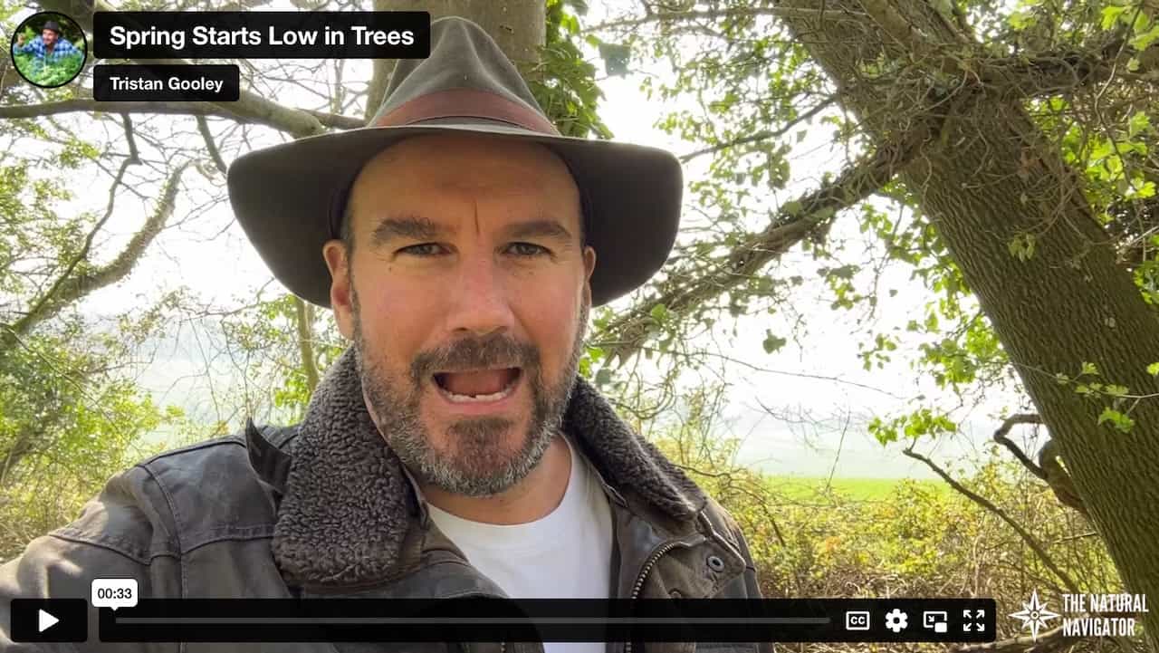 Spring Starts Low in Trees - The Natural Navigator