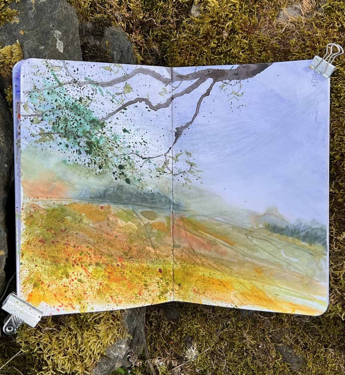 How Sketching Taught Me to Capture the Spirit of a Tree - The Natural ...