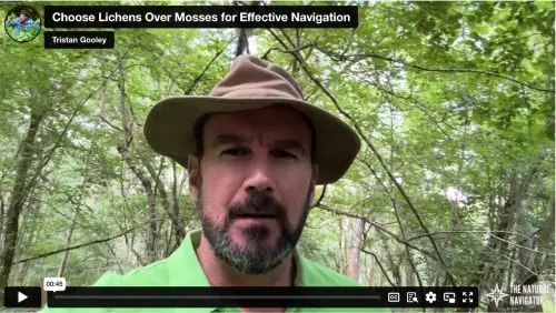 How to navigate using the Sun - The Natural Navigator