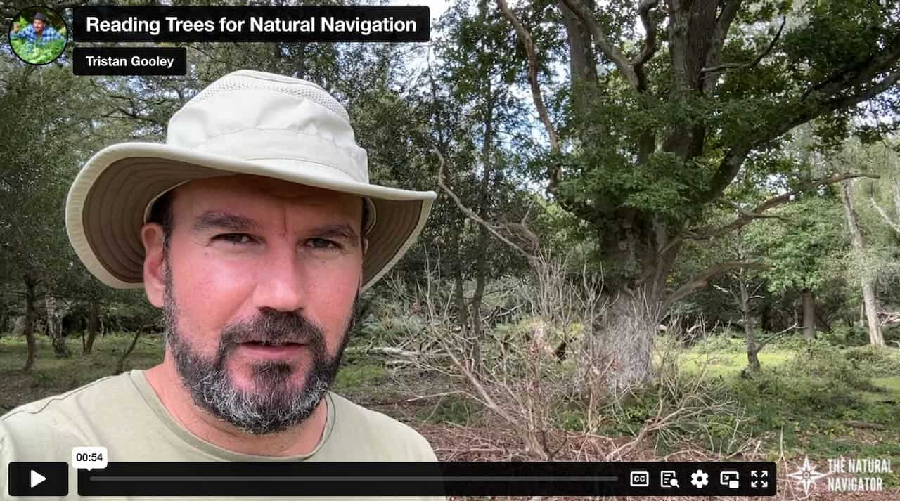 Reading Trees for Navigation - A Tip - The Natural Navigator