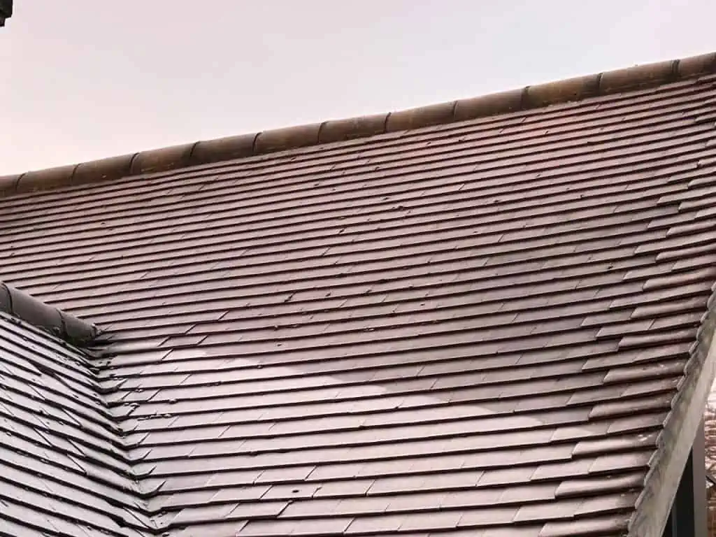 What is a Double Frost? - The Natural Navigator