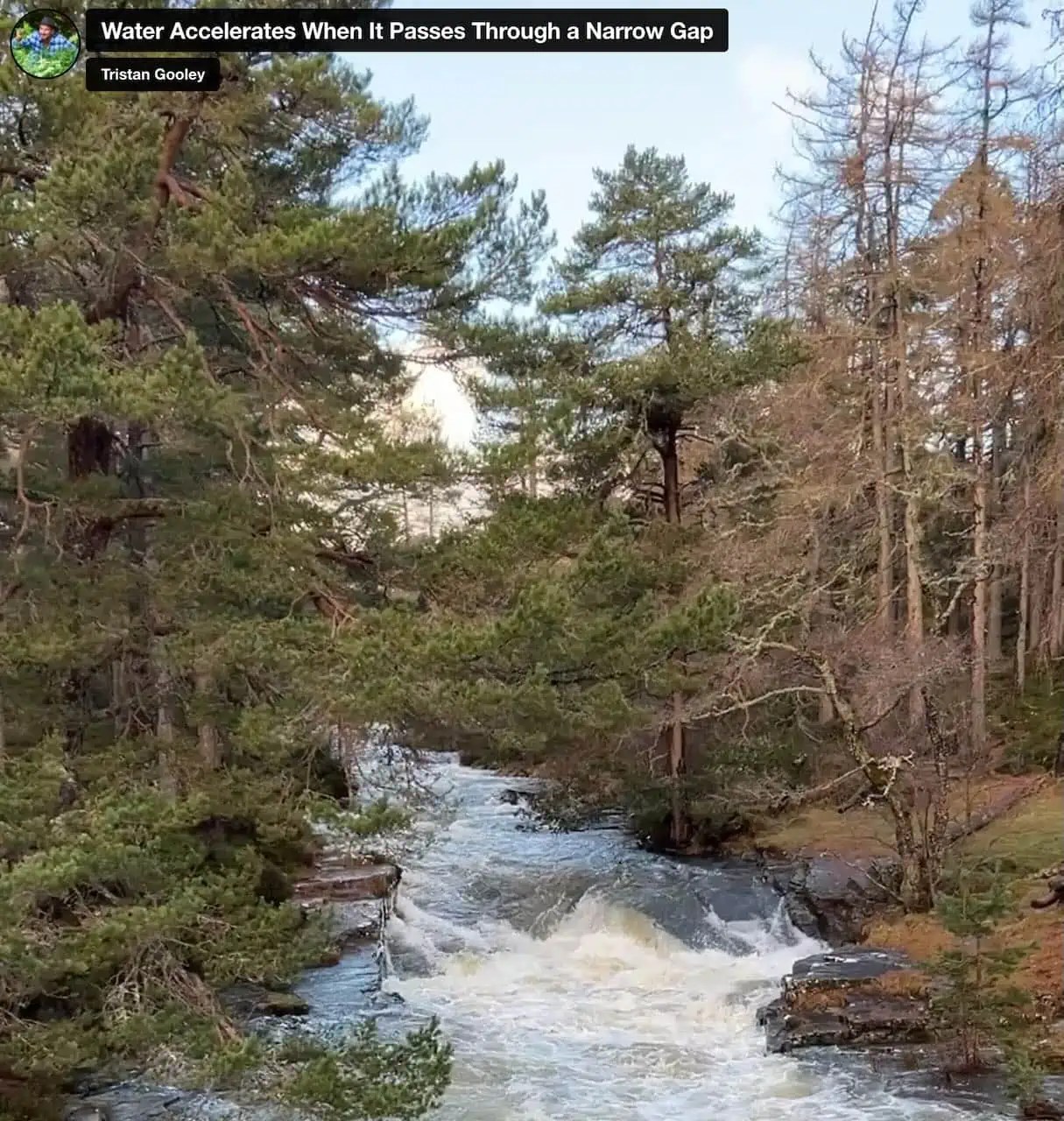 Water Accelerates When It Passes Through a Narrow Gap - The Natural ...