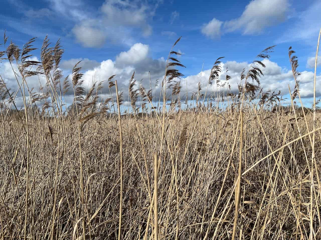How to navigate using the Sea - The Natural Navigator