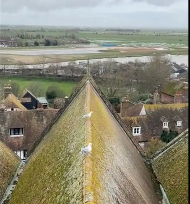 How to navigate using the Sun - The Natural Navigator