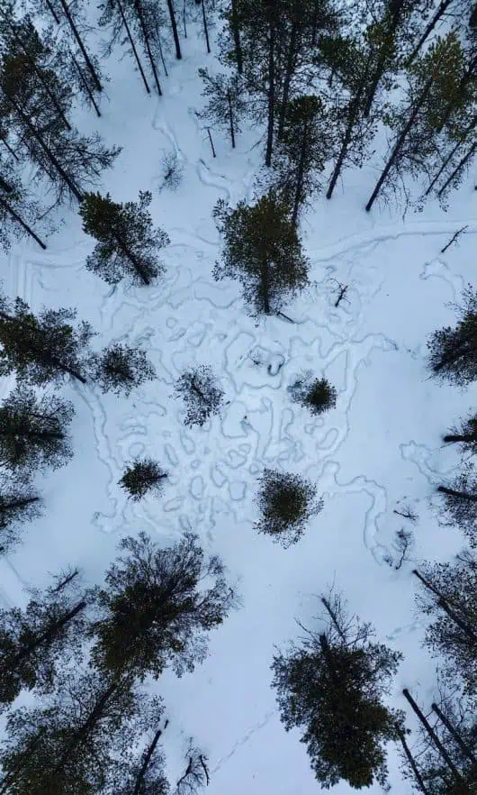 How to navigate using the Stars - The Natural Navigator