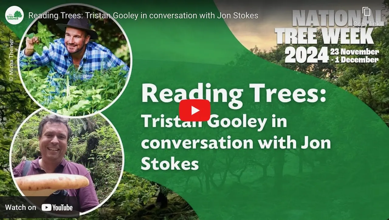 The Natural Navigator: Find your way using nature