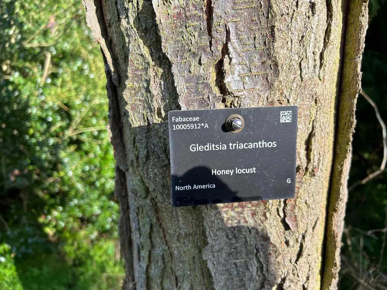 Natural Navigation The Natural Navigator