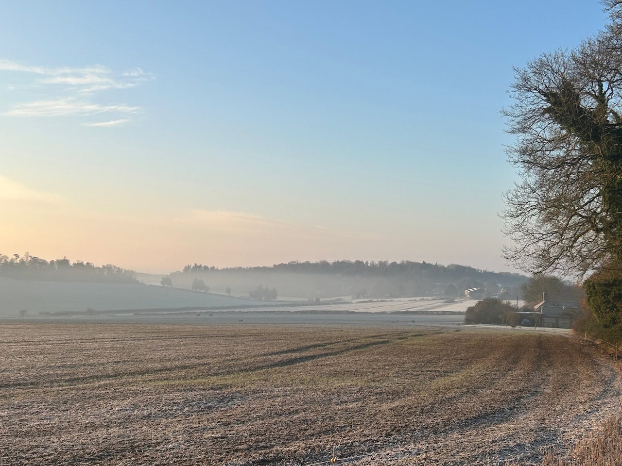 The Natural Navigator: Find your way using nature