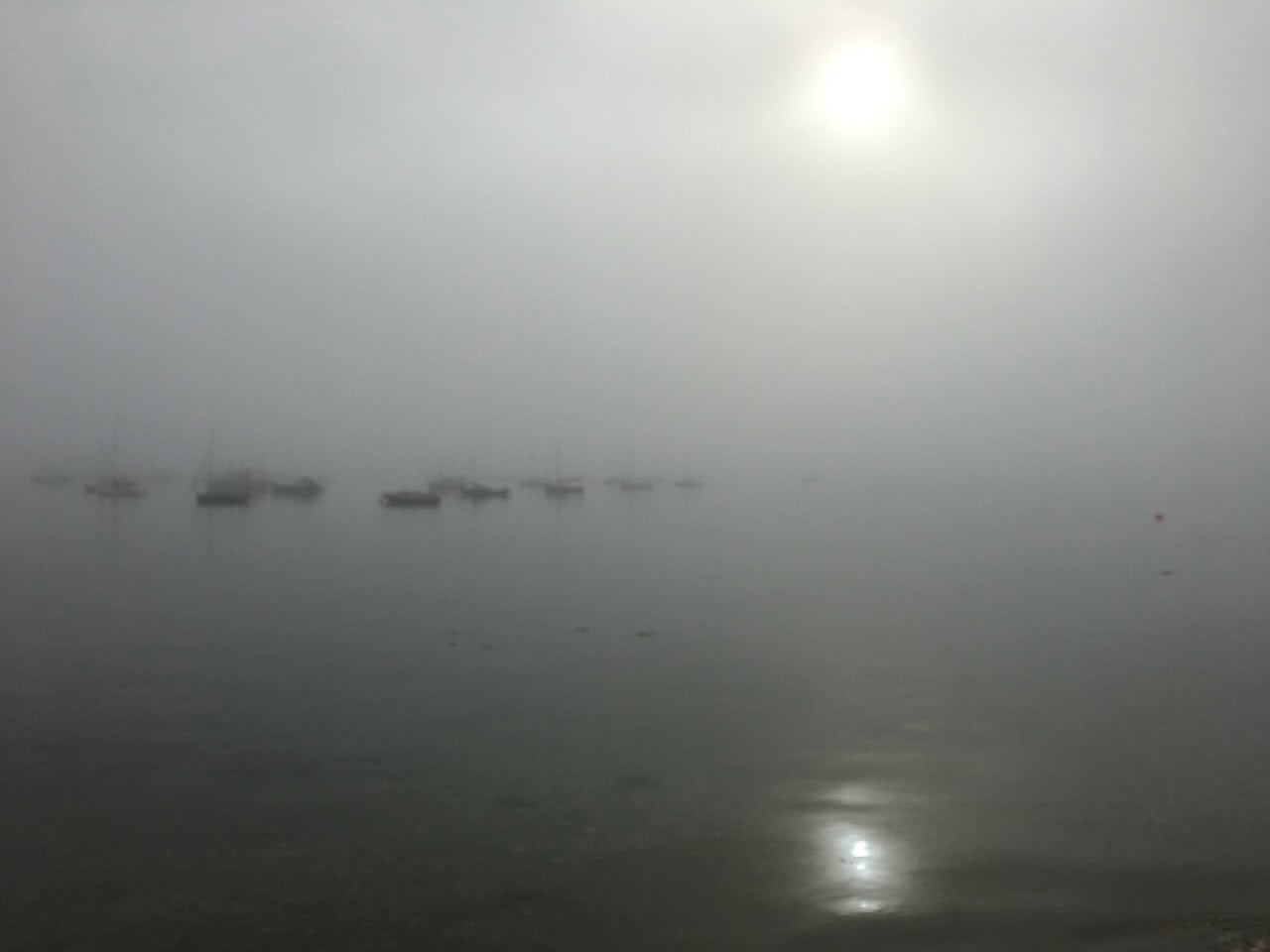 The Meaning of Summer Mists - The Natural Navigator