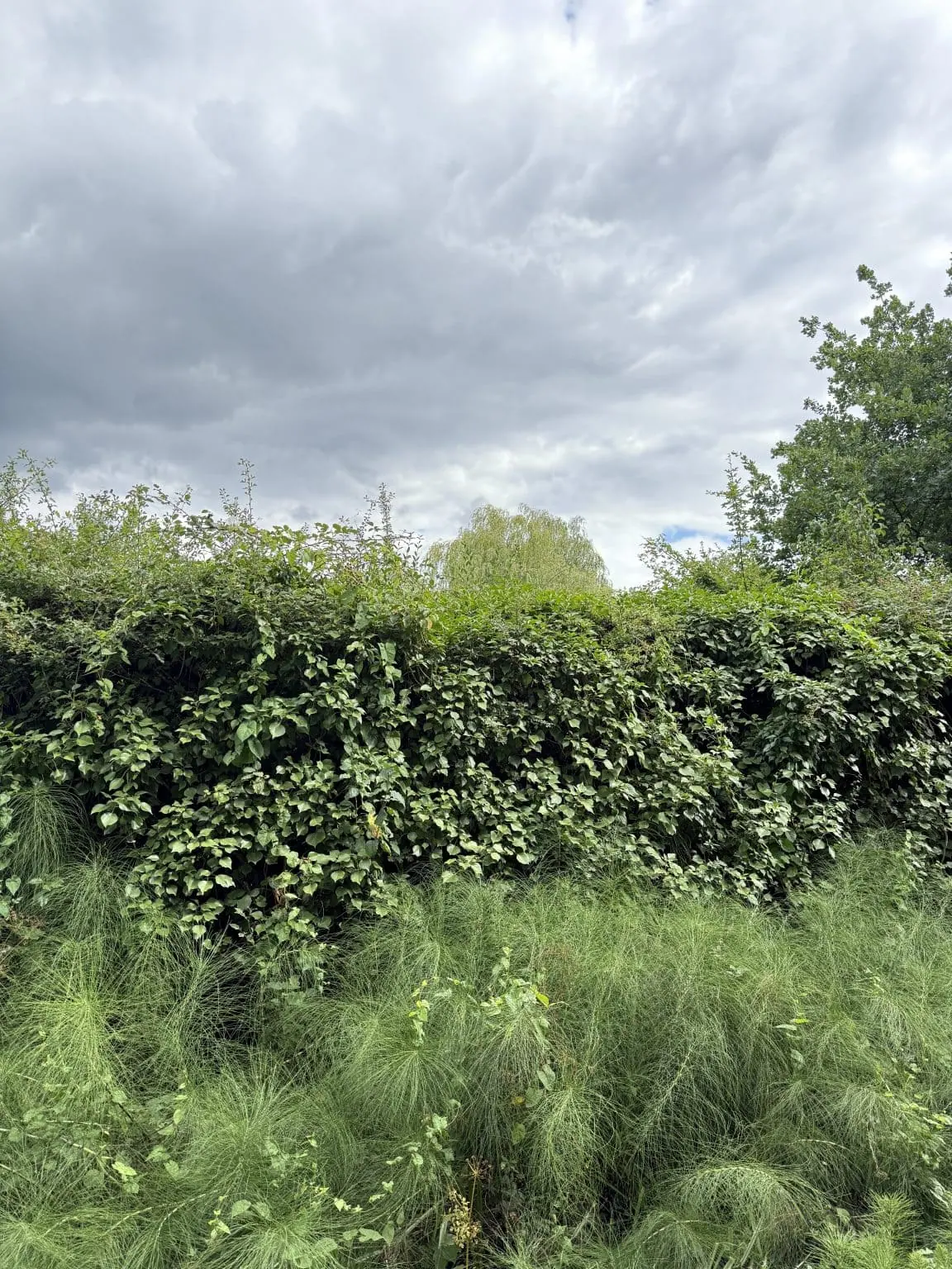 How to navigate using the Weather - The Natural Navigator